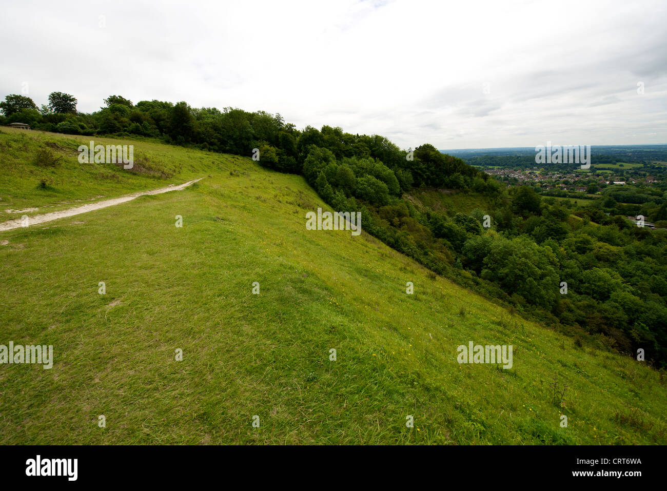Chalk scarp of Reigate Hill and Colley Hill on the North Downs looking ...