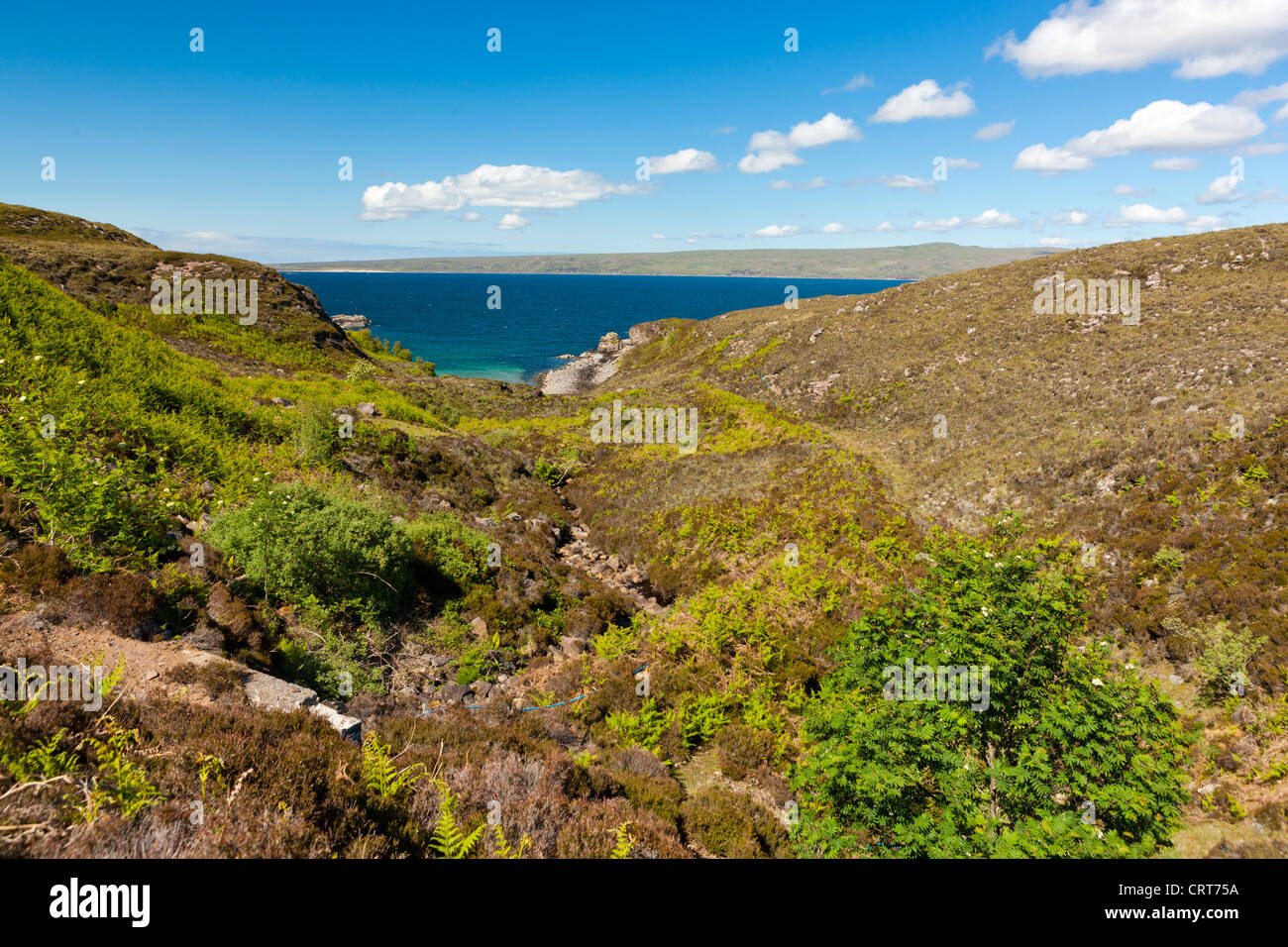 Taobh siar rois hi-res stock photography and images - Alamy