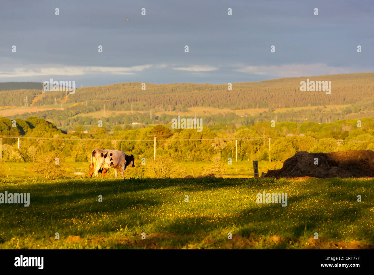 Scottish spring landscapes hi-res stock photography and images - Alamy