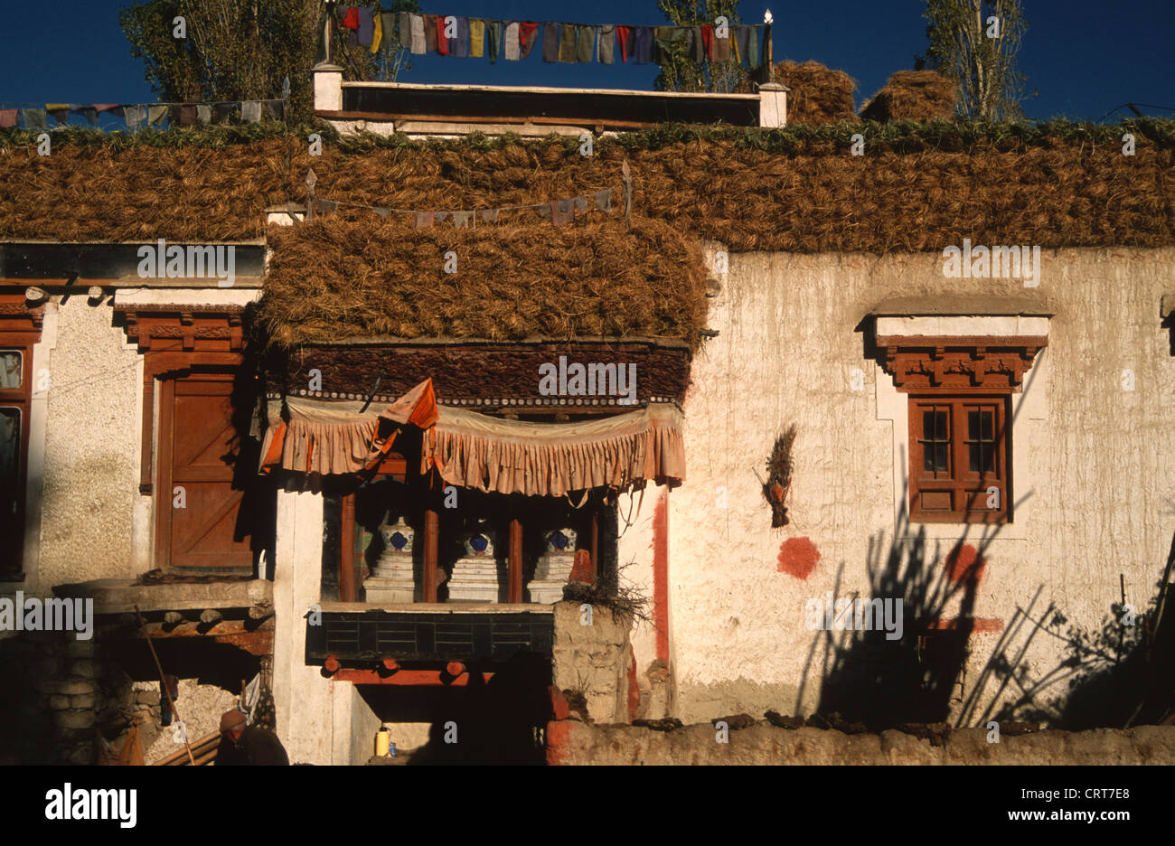 India, Ladakh, Leh, typical old house Stock Photo - Alamy
