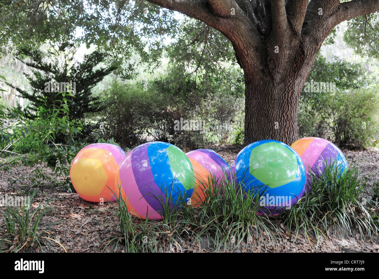 balloons beneath a tree Stock Photo - Alamy