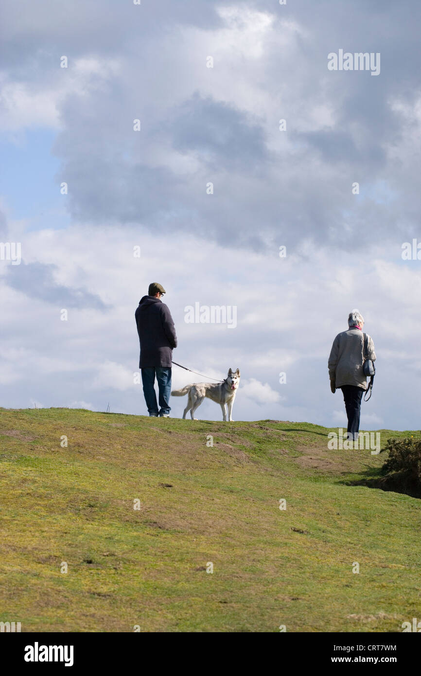 Man walking dogs countryside hi-res stock photography and images - Alamy