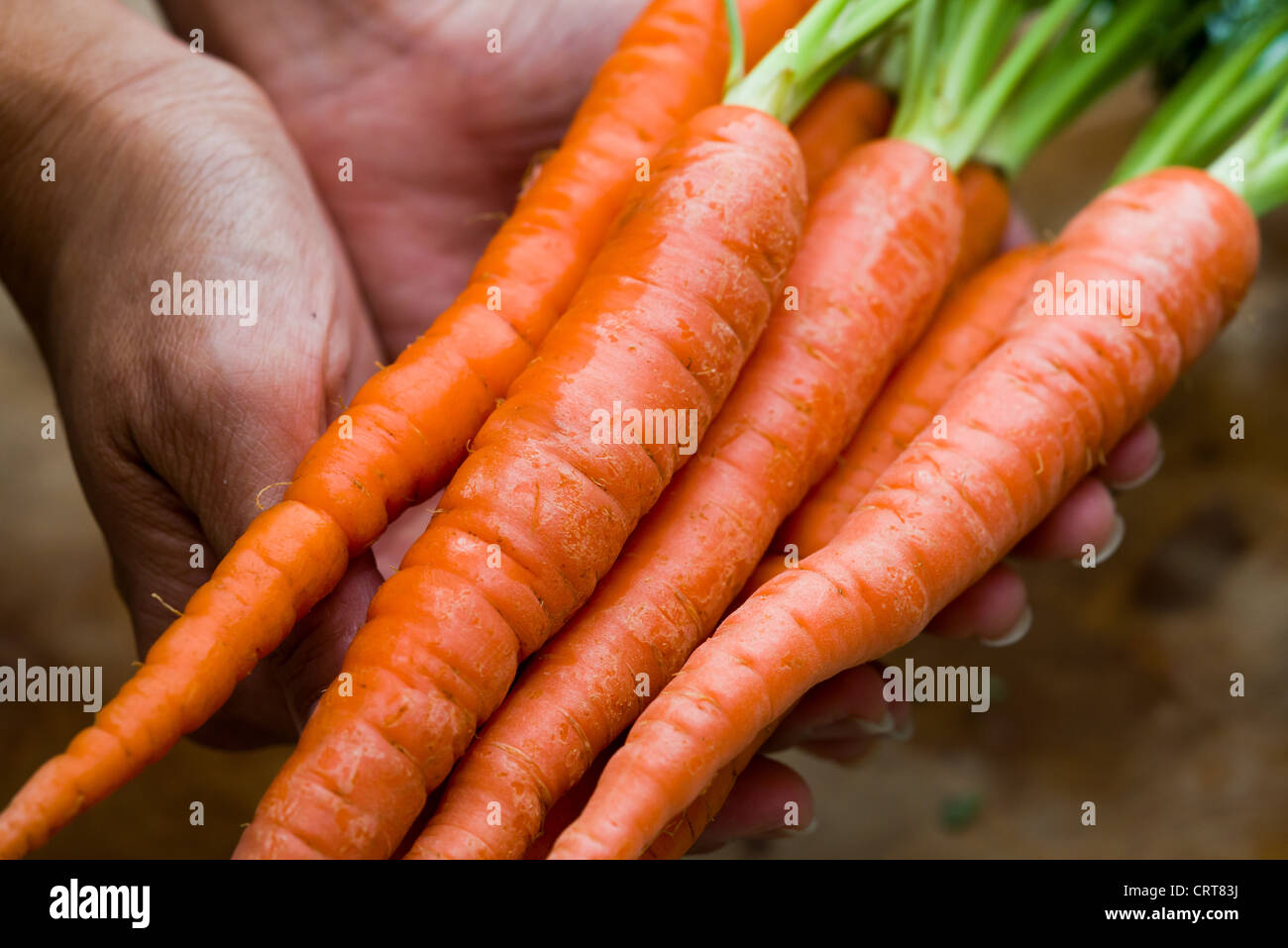 Carrots on a chopping block Stock Photo - Alamy