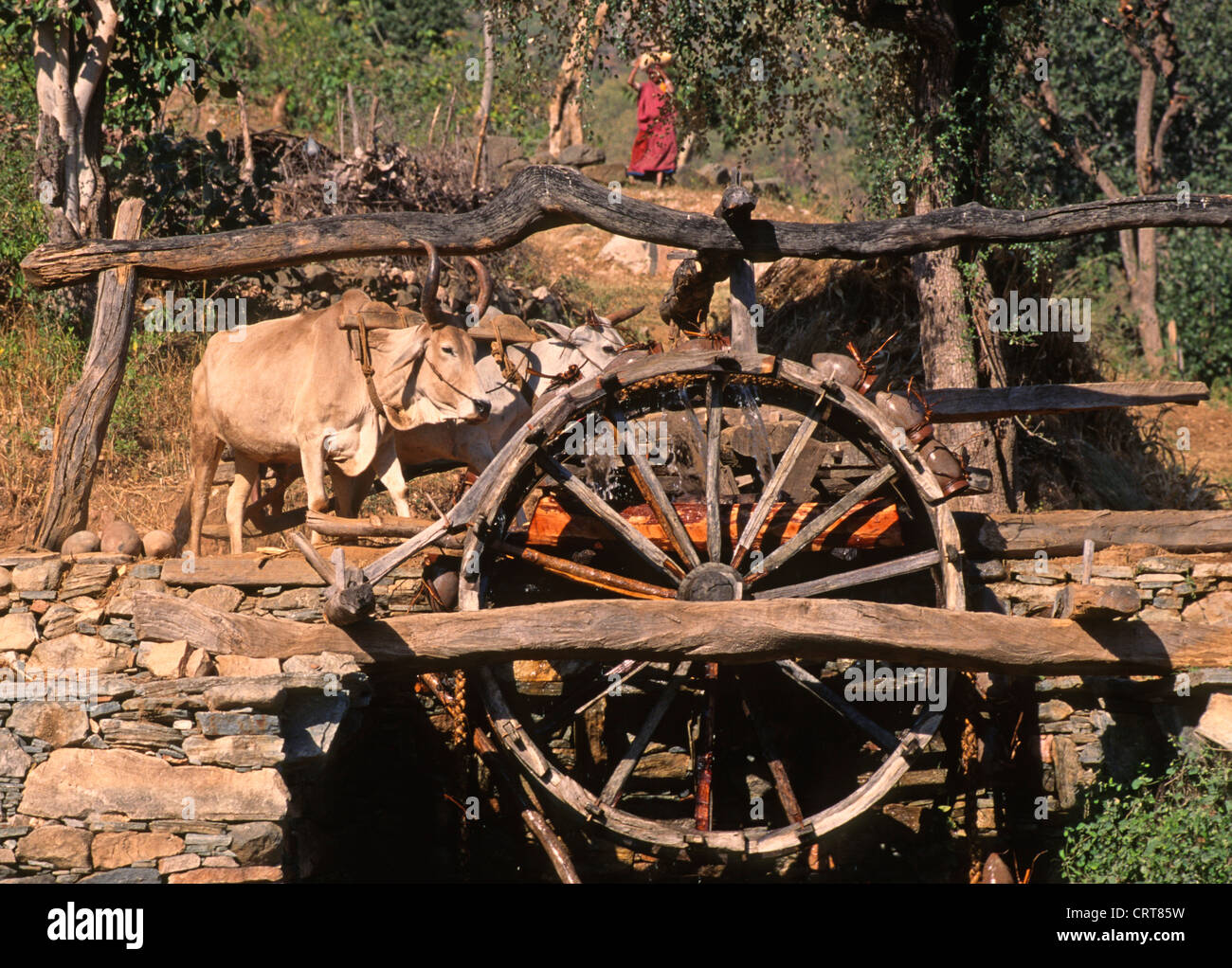 Water wheel rajasthan india hi-res stock photography and images - Alamy