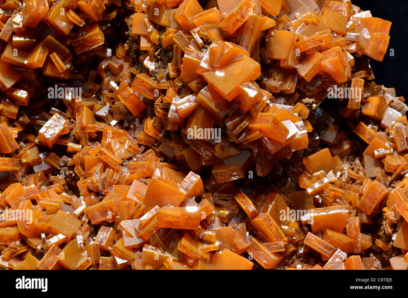 Yellow crystals of mineral Wulfenite, a lead molybdate, PbMoO4 Stock ...