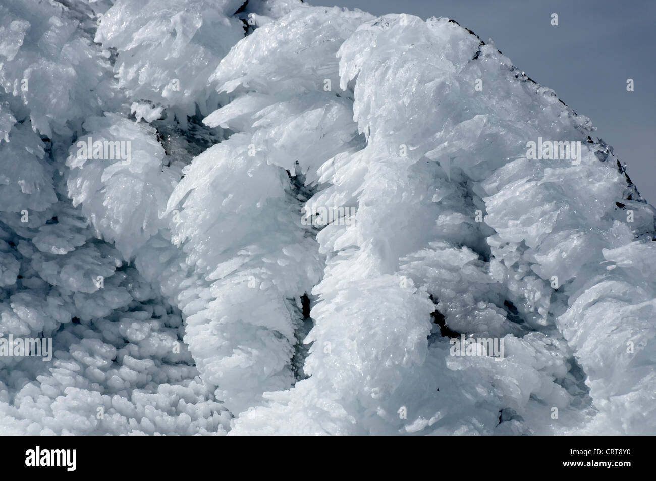 Rime Ice on a rock Stock Photo - Alamy