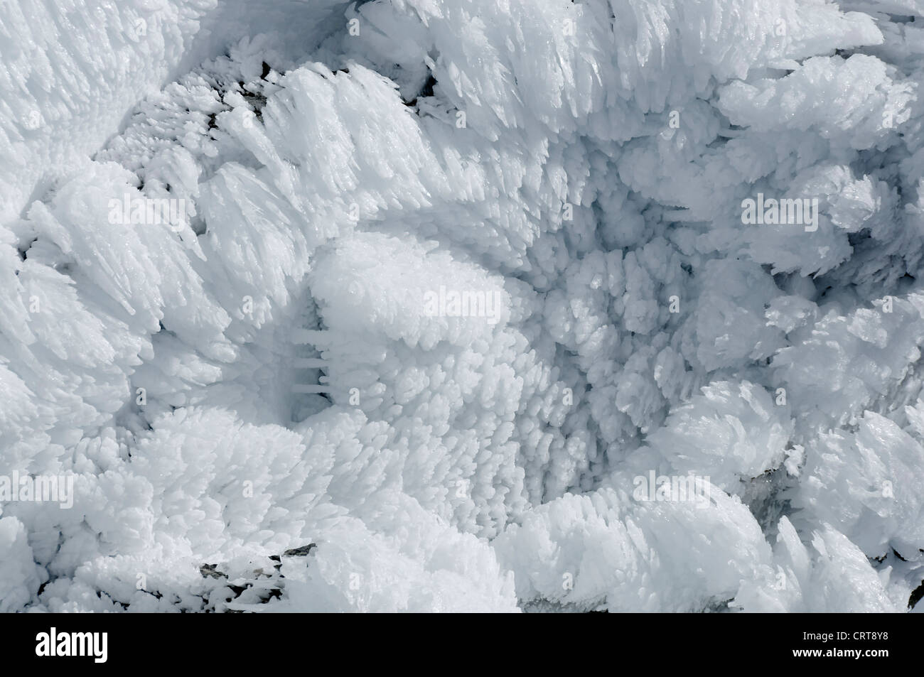 Rime ice on summit hi-res stock photography and images - Alamy