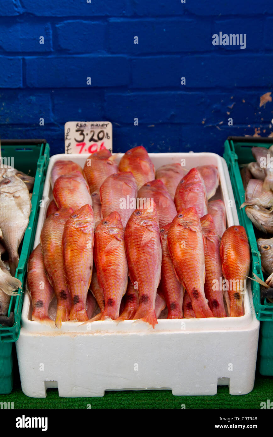 Seafood counter london uk hi-res stock photography and images - Alamy
