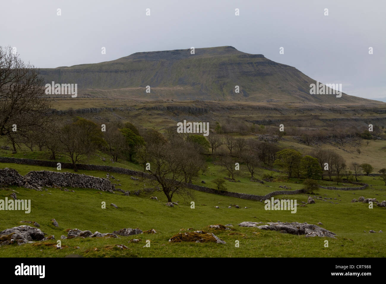 Ingleborough Chapel Le Dale High Resolution Stock Photography and ...