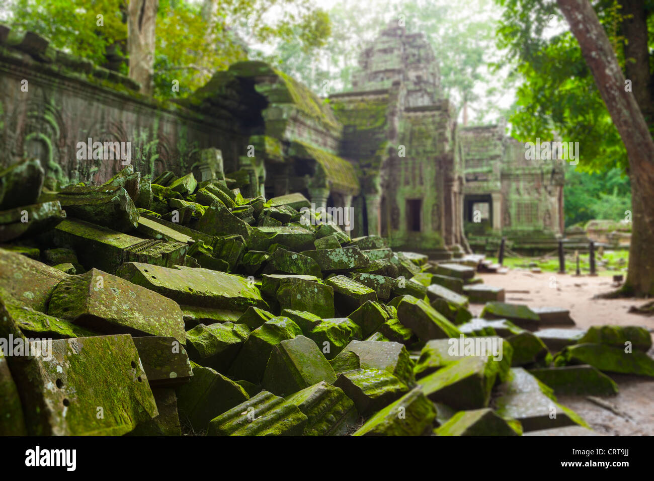 Ruins at archaeological site, Ta Prohm temple, Angkor, UNESCO World ...