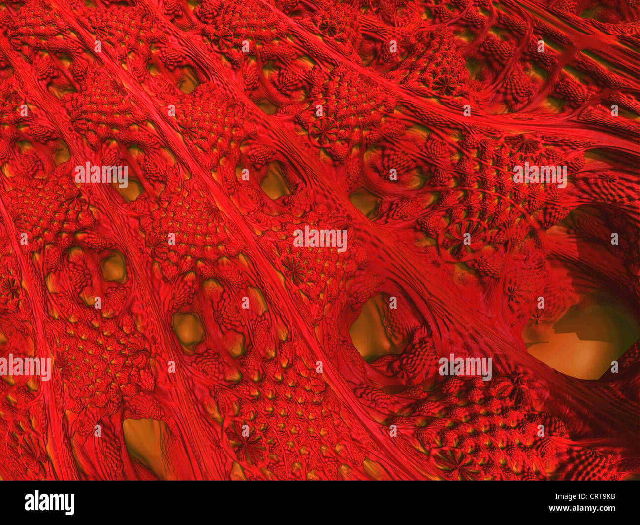 Microscopic closeup detail organic structure hi-res stock photography ...