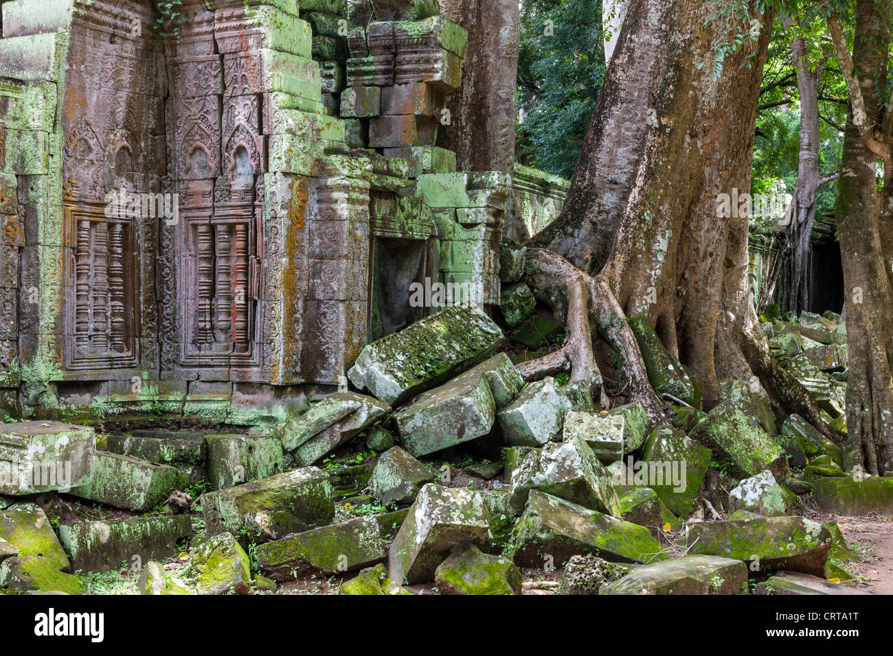 Ruins at archaeological site, Ta Prohm temple, Angkor, UNESCO World ...