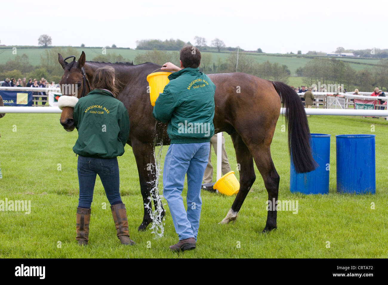Walking horse after race hi-res stock photography and images - Alamy
