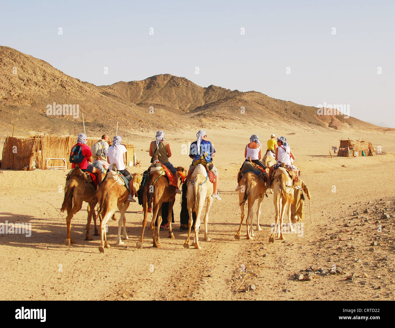 People Riding Camels In Desert