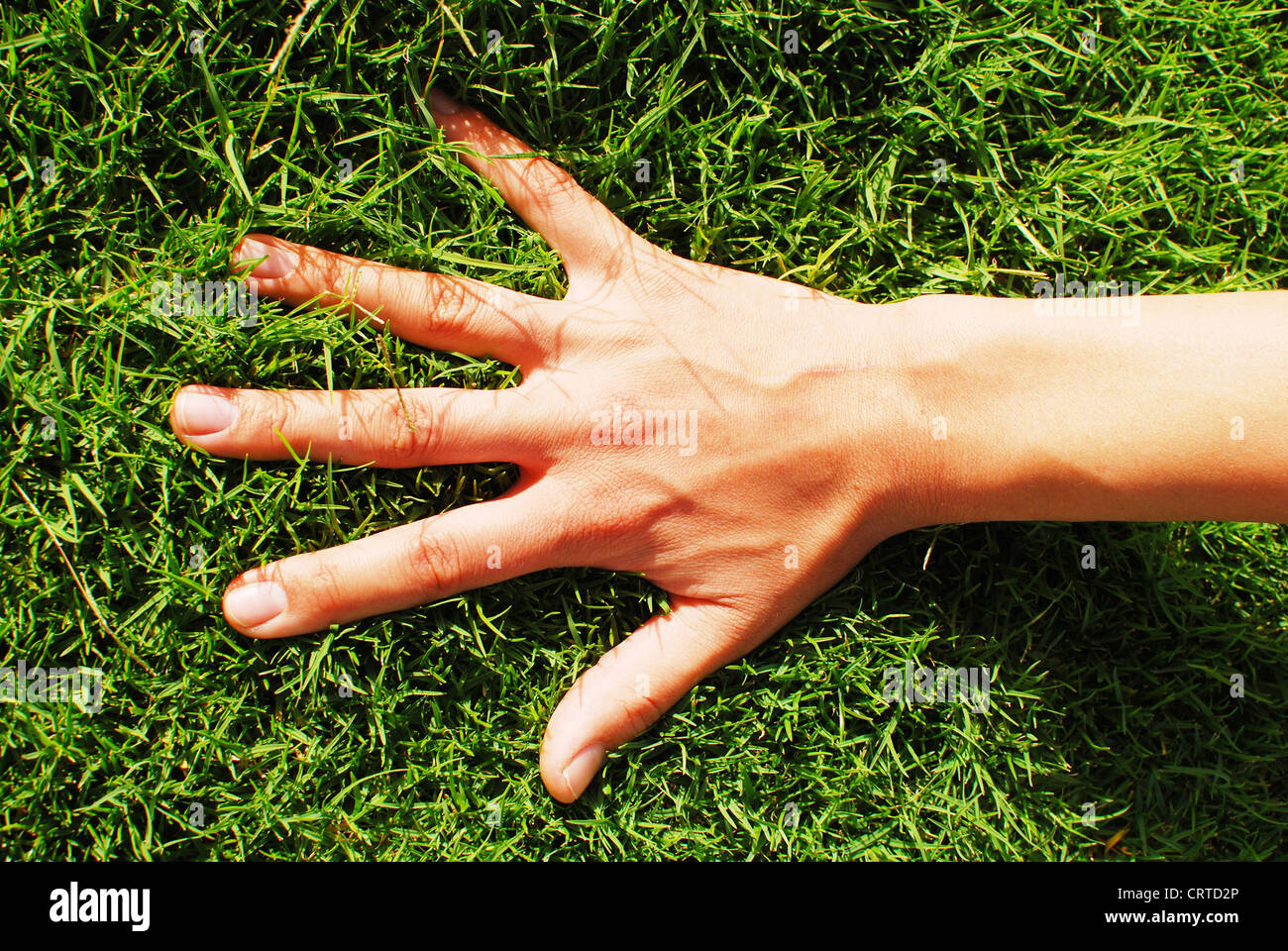 a hand on green grass Stock Photo - Alamy