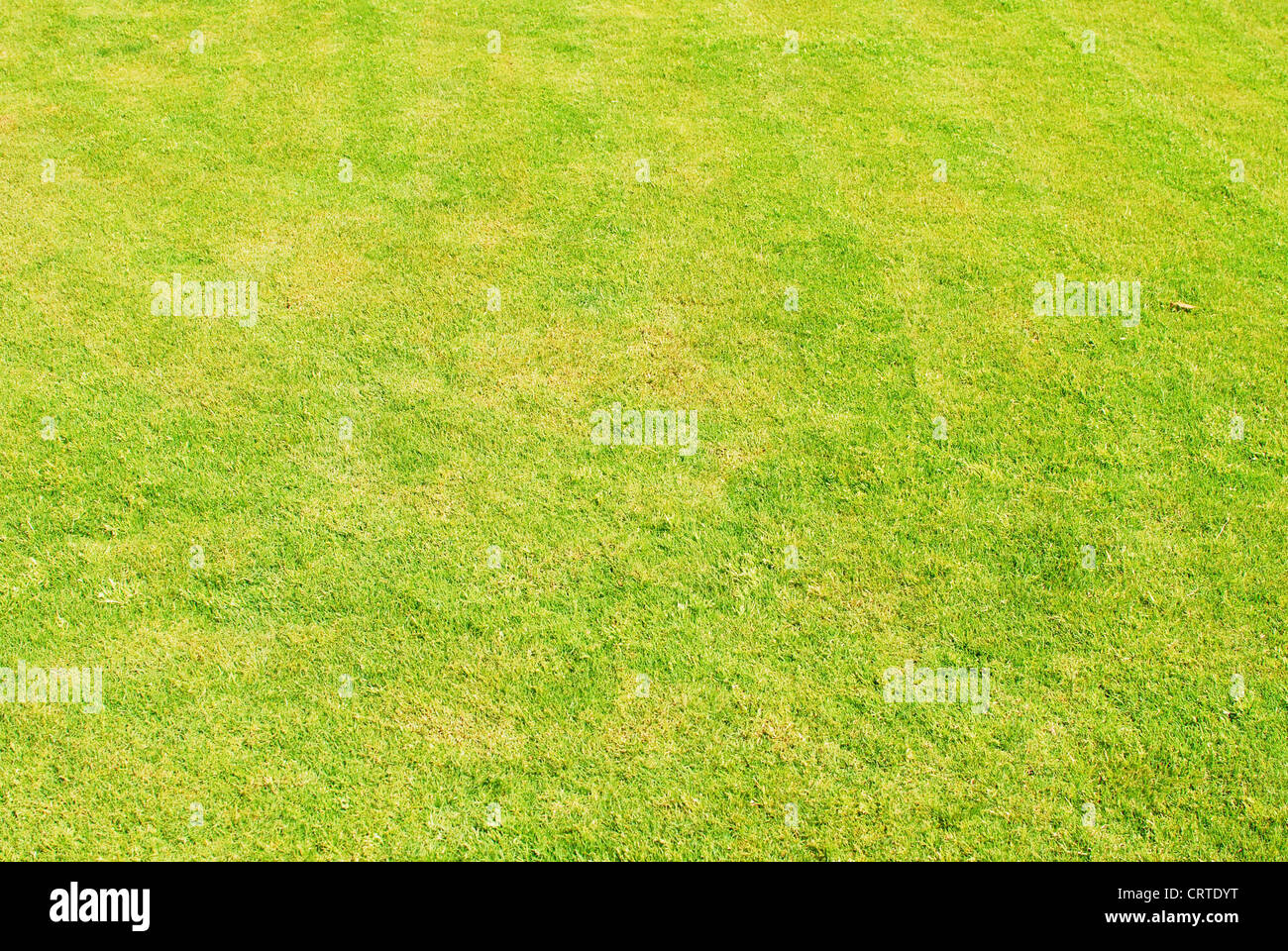green grass great as a background Stock Photo - Alamy