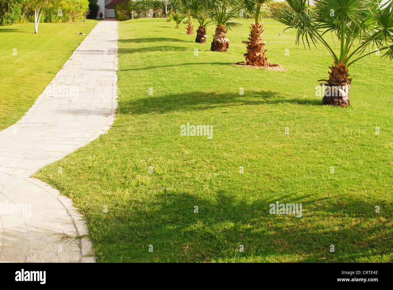 Rooftop and lane hi-res stock photography and images - Alamy