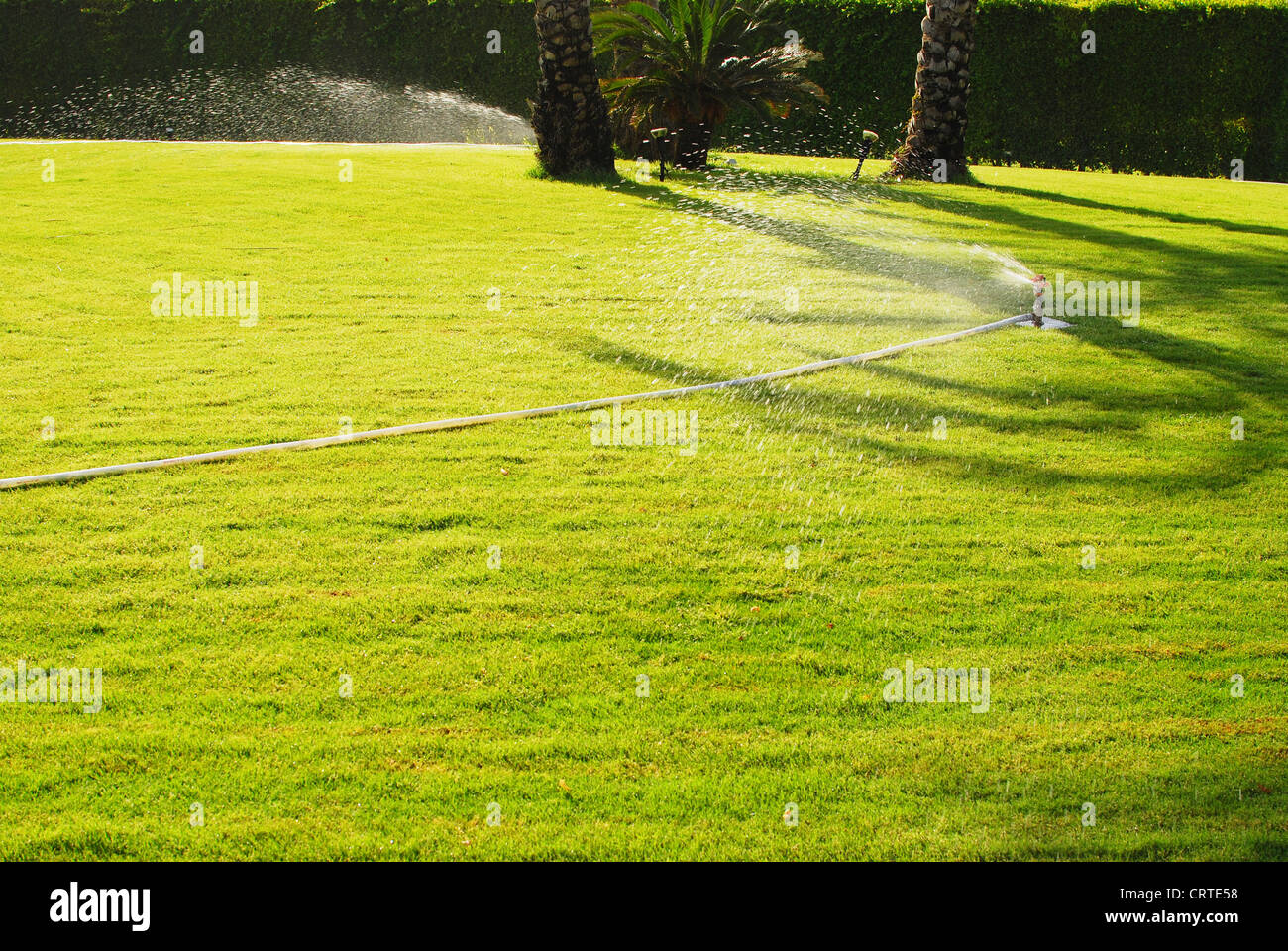 Sprinkler splashing water fresh grass hi-res stock photography and ...