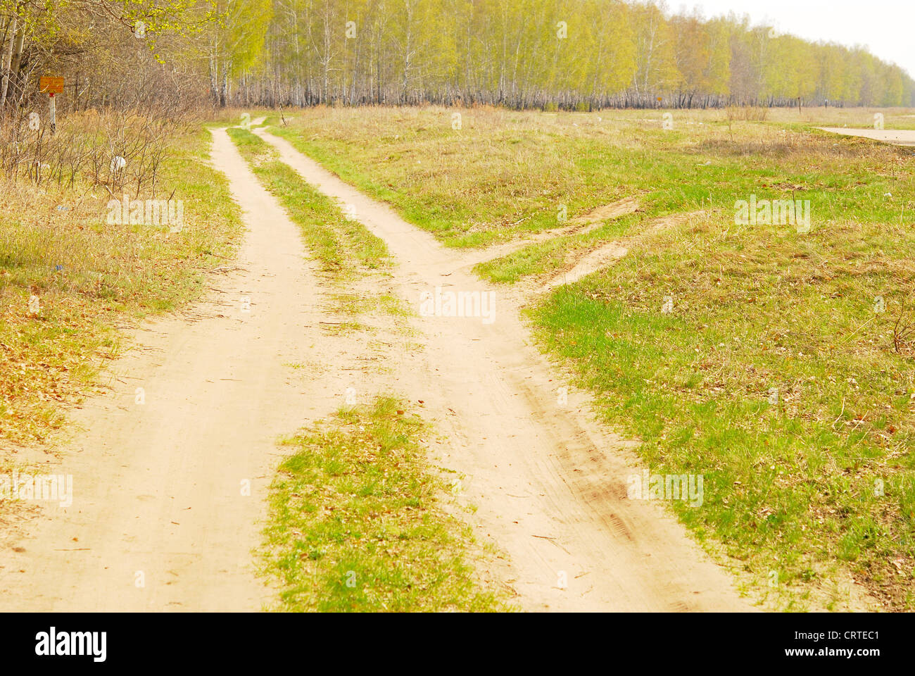 road in spring forest Stock Photo - Alamy
