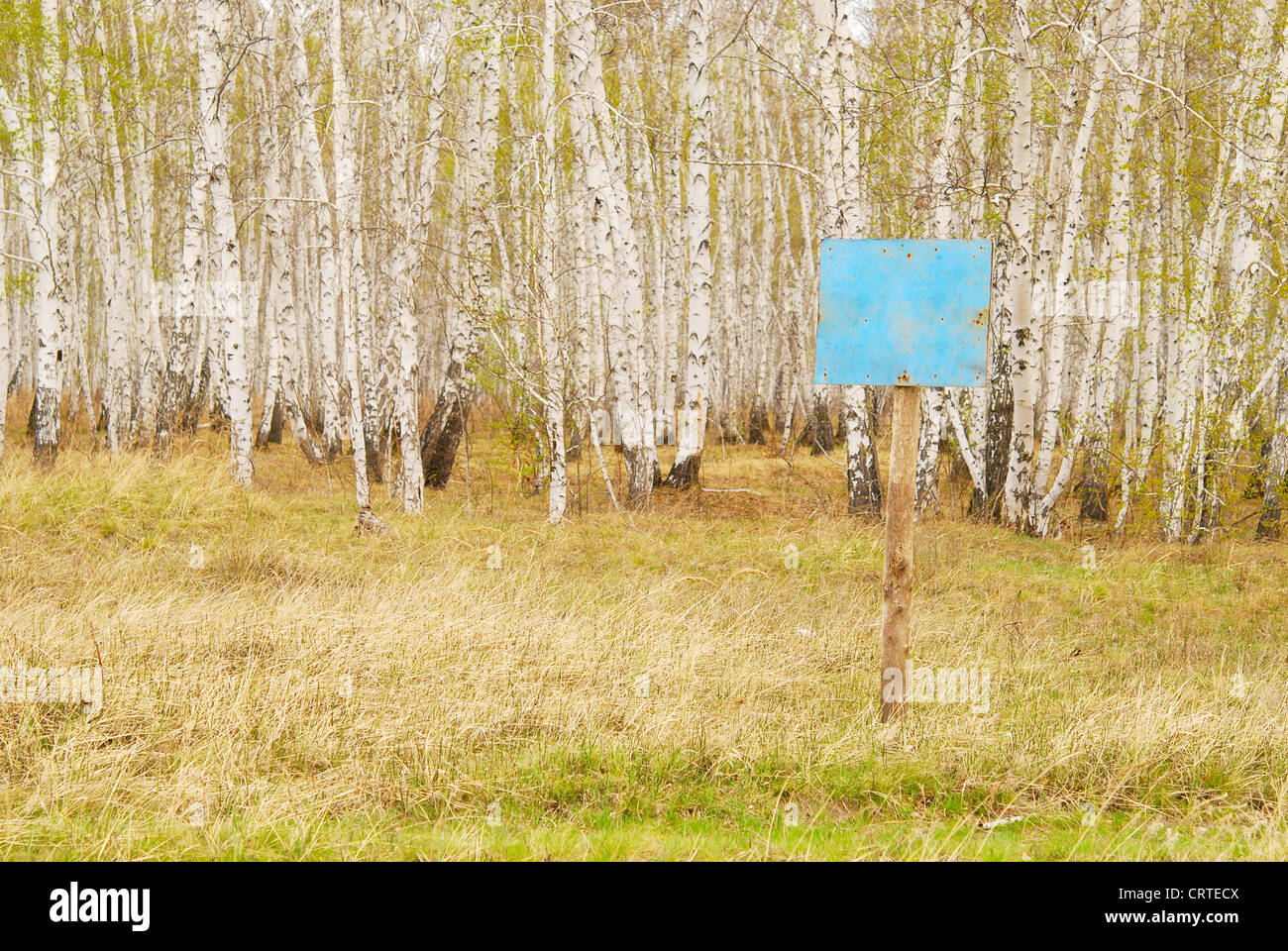 blue metal sign over forest background Stock Photo - Alamy