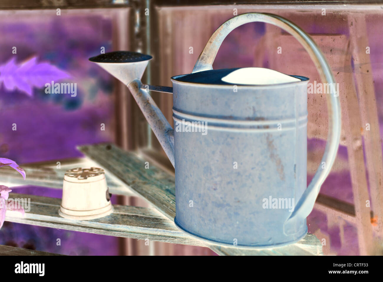 Shaded old watering can standing in big greenhouse Stock Photo - Alamy