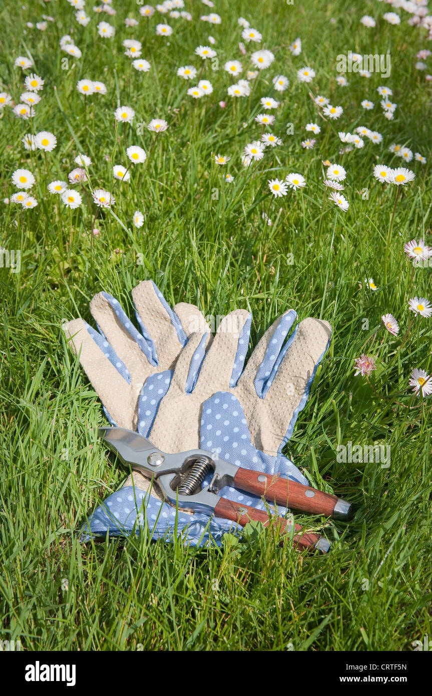 Garden gloves and secateur on lawn in spring garden Stock Photo - Alamy