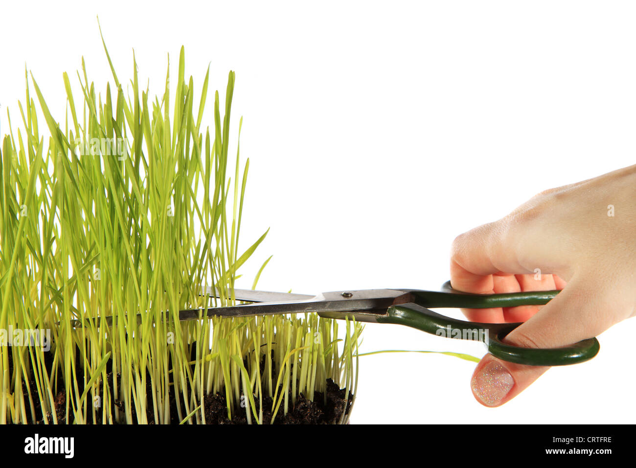 Cutting the Grass on white background Stock Photo - Alamy