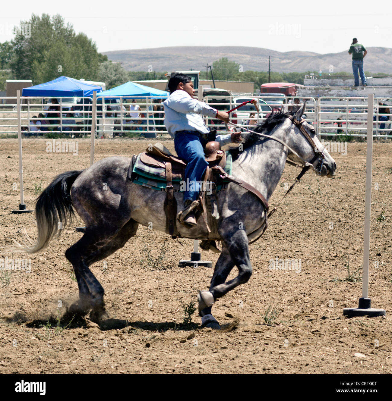 Young rider taking part in a pole competition during a rodeo held ...