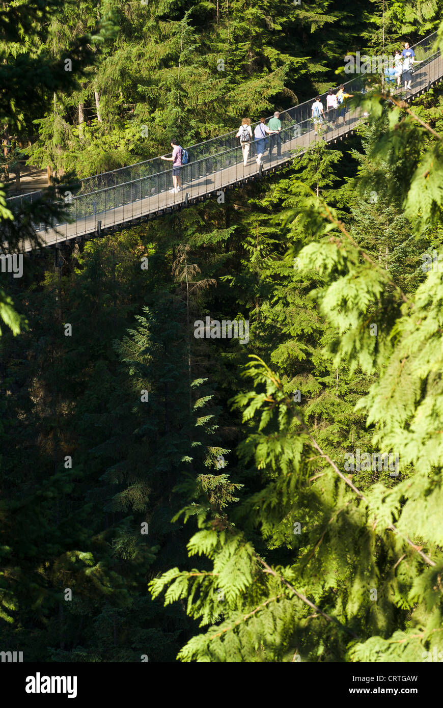 Vancouver suspension bridge hi-res stock photography and images - Alamy