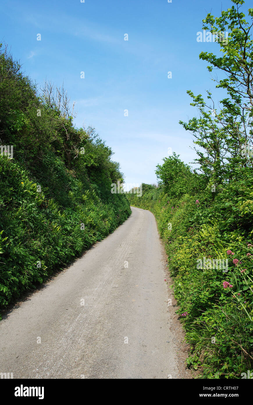 A quiet country road in Devon, England, UK Stock Photo - Alamy