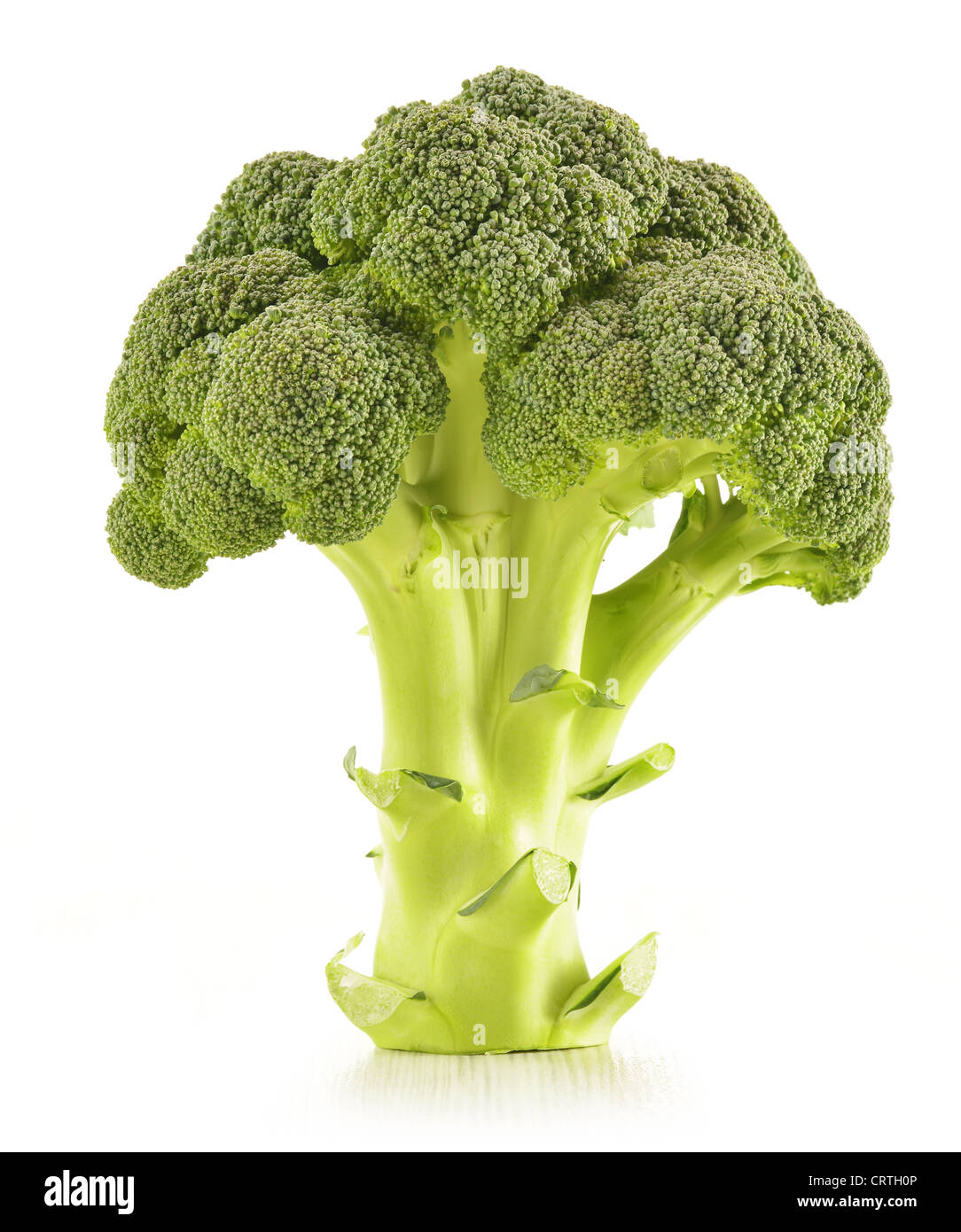 Broccoli isolated on white Stock Photo - Alamy