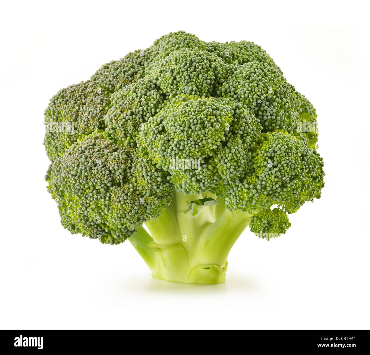 Flower broccoli Cut Out Stock Images & Pictures - Alamy