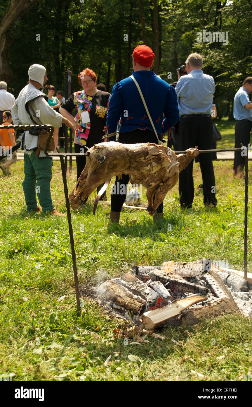 Teutonic Knight Prussia High Resolution Stock Photography and Images ...