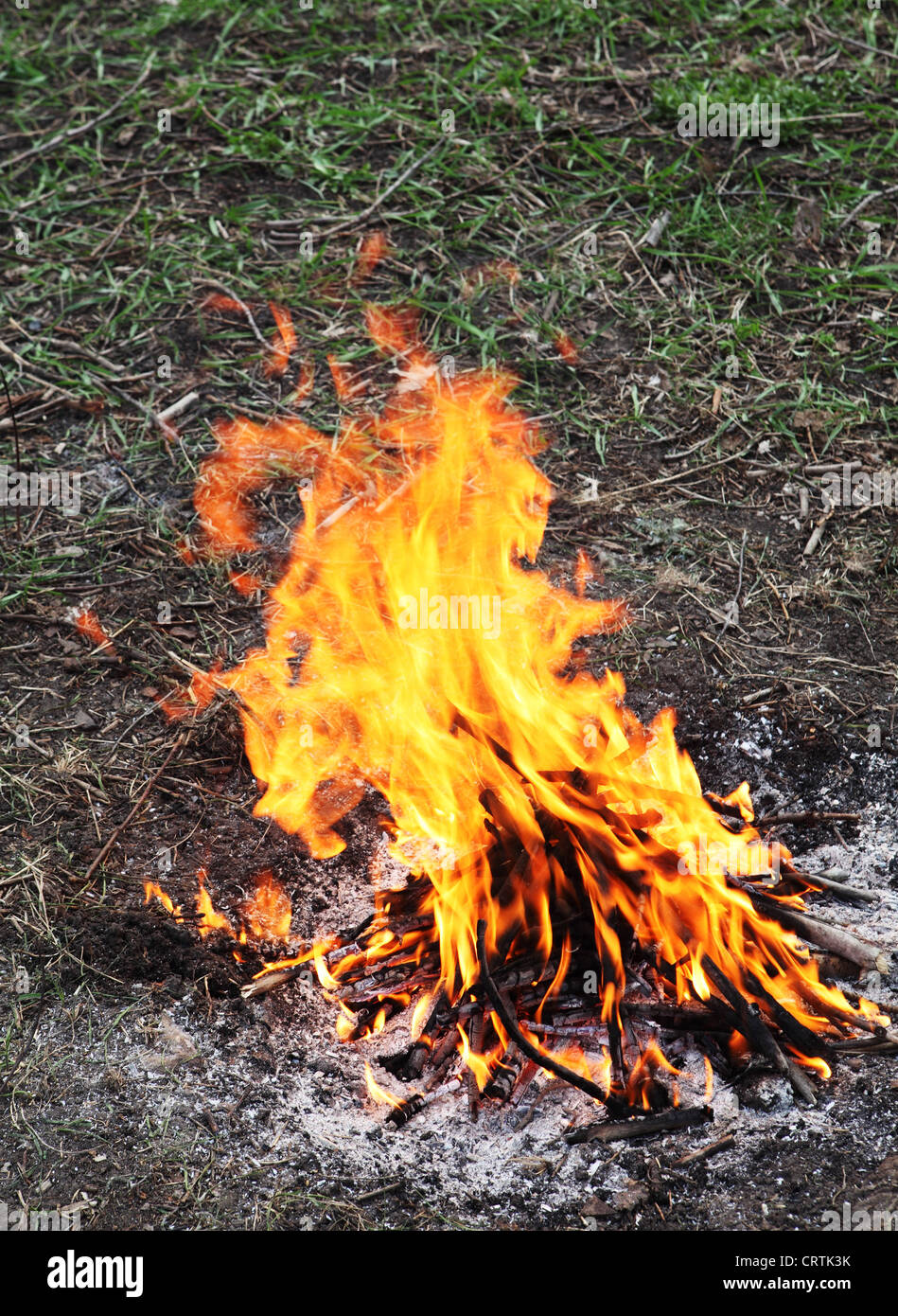 Flames fire on the background of green grass Stock Photo - Alamy