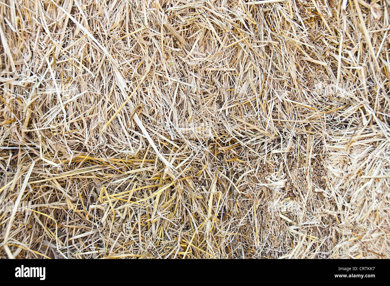 Stack of paddy hi-res stock photography and images - Alamy
