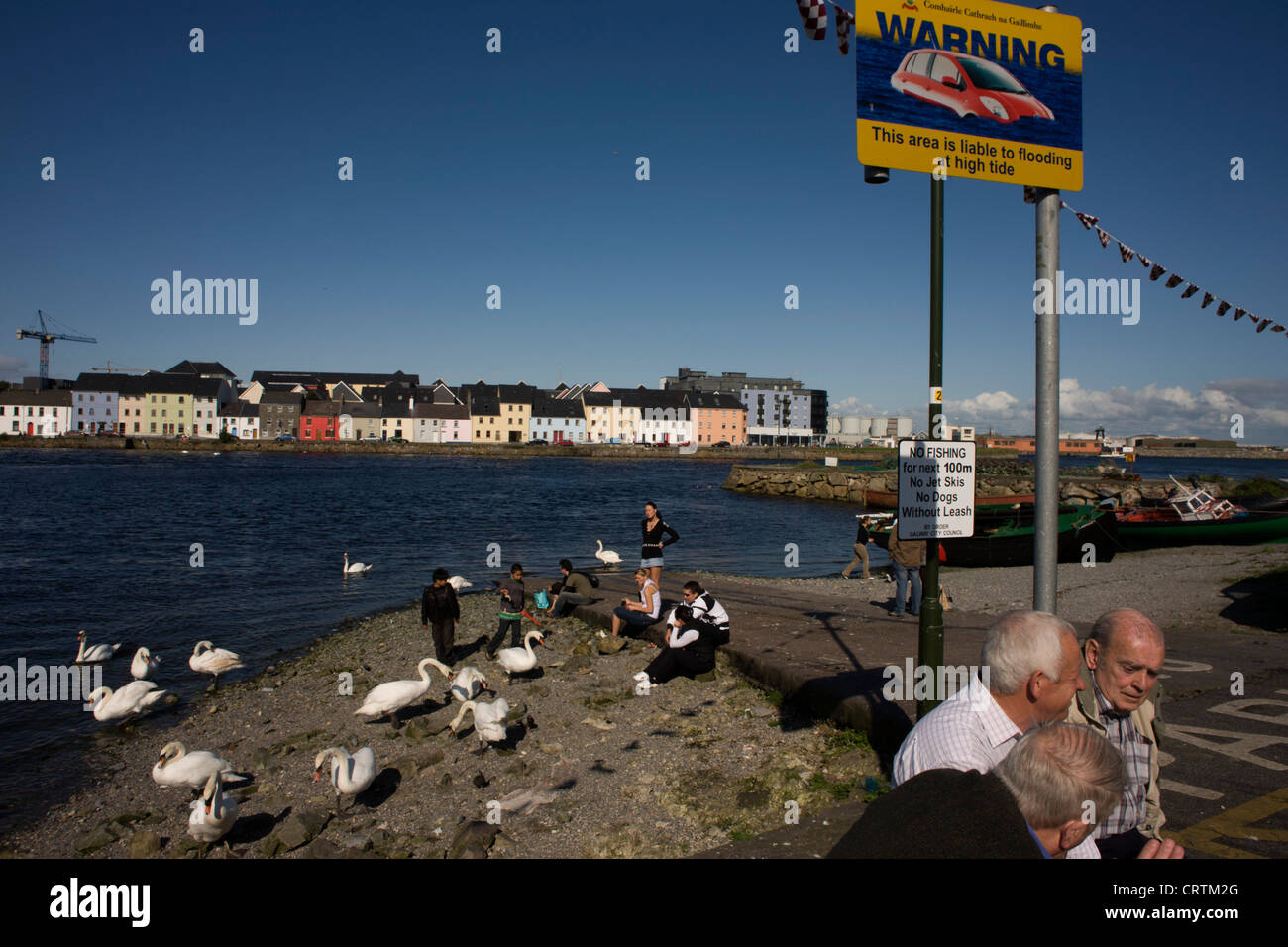 Swans and Irish locals on the Claddagh, an area close to the centre of ...