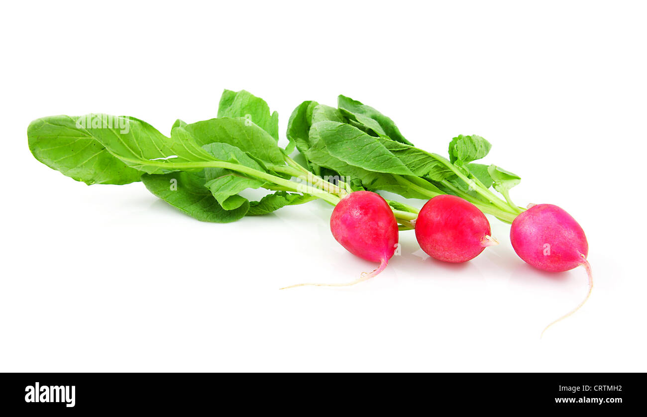Three fresh radishes isolated on white background Stock Photo - Alamy
