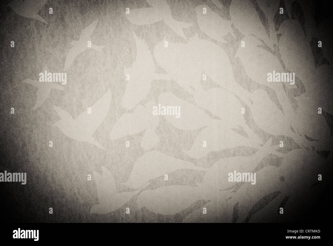 bird abstract background or texture Stock Photo - Alamy