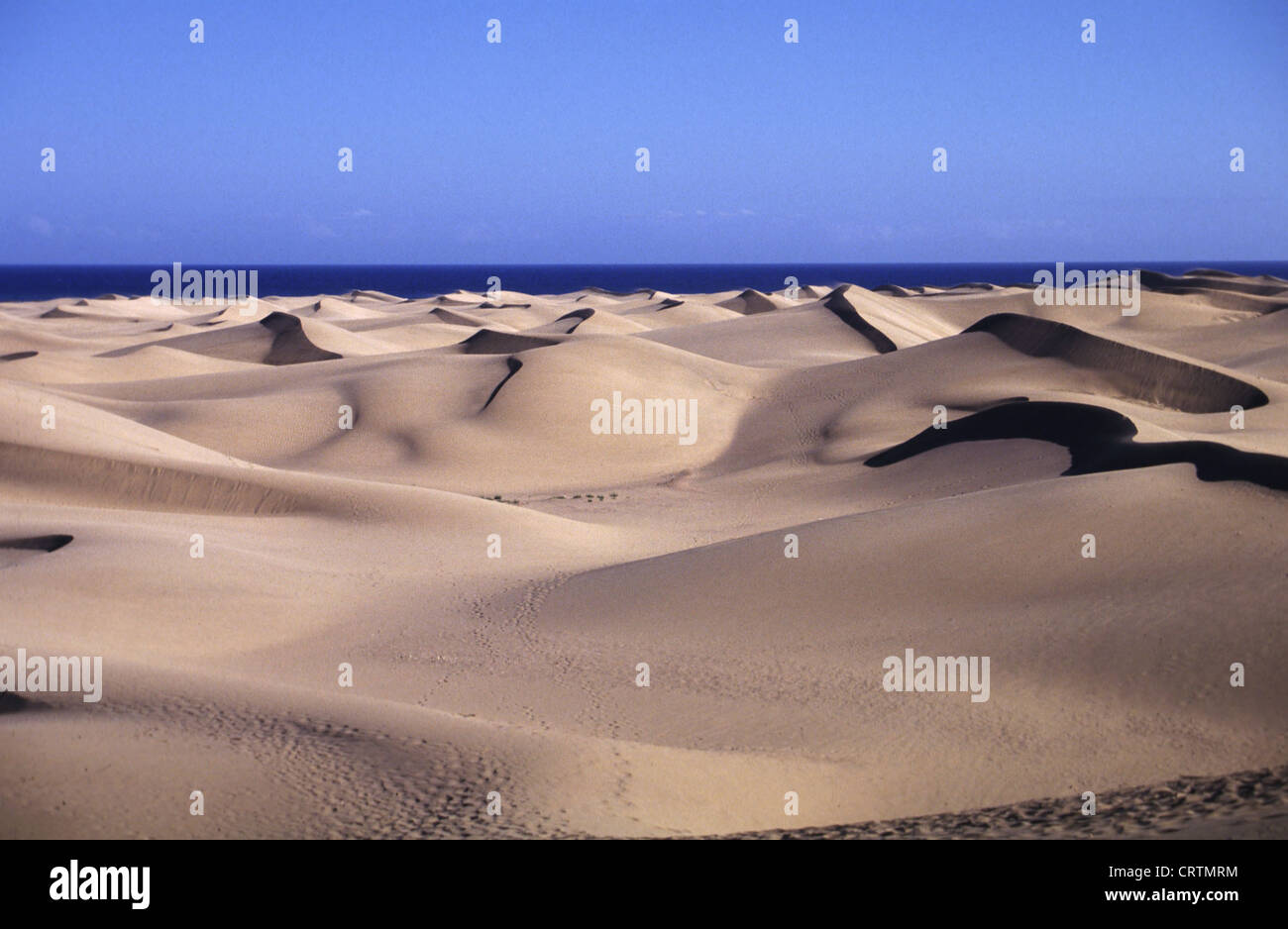 Desert landscape near the sea Stock Photo - Alamy