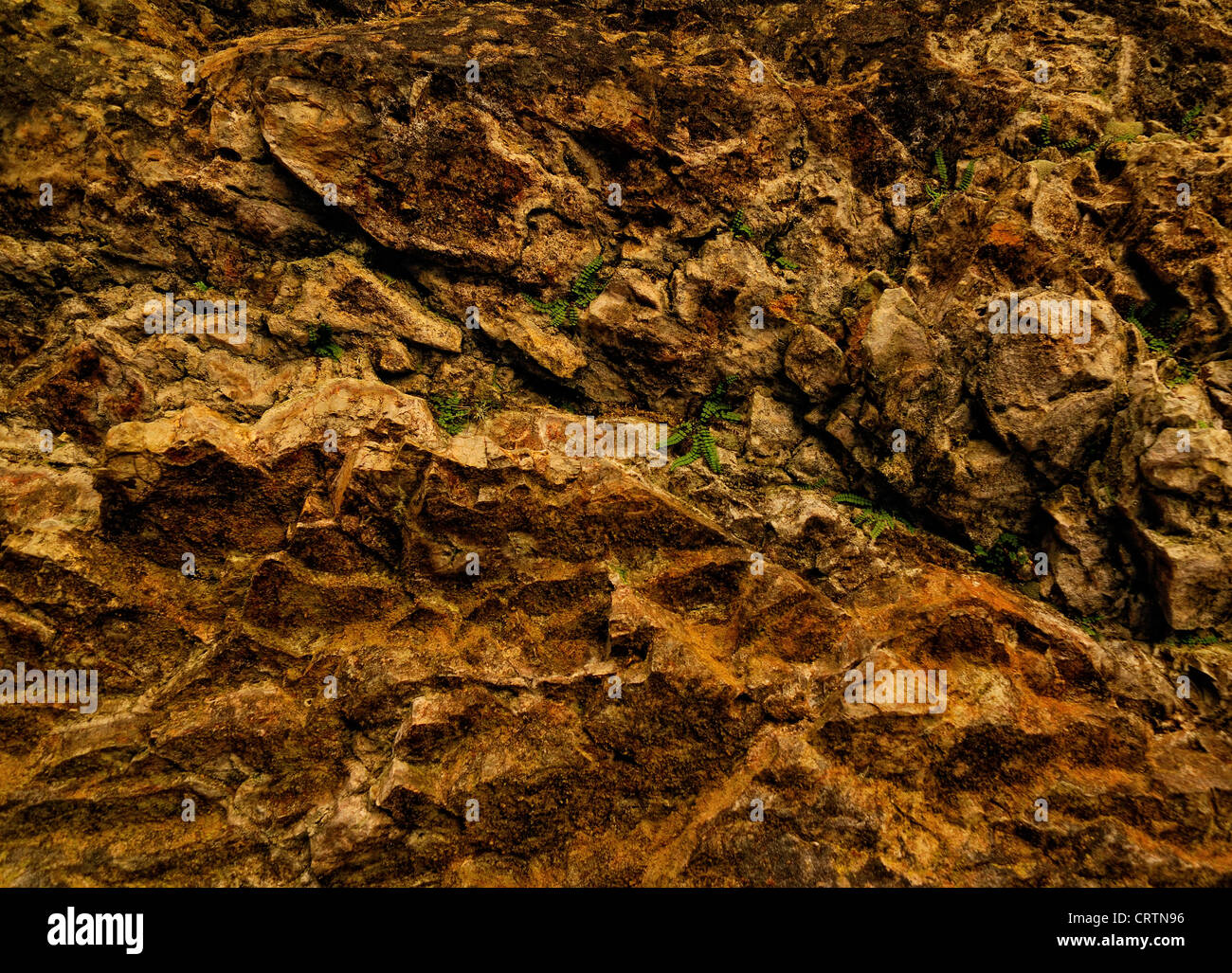 one of a series showing the walk from A837 to Inchnadamph Bone caves in ...