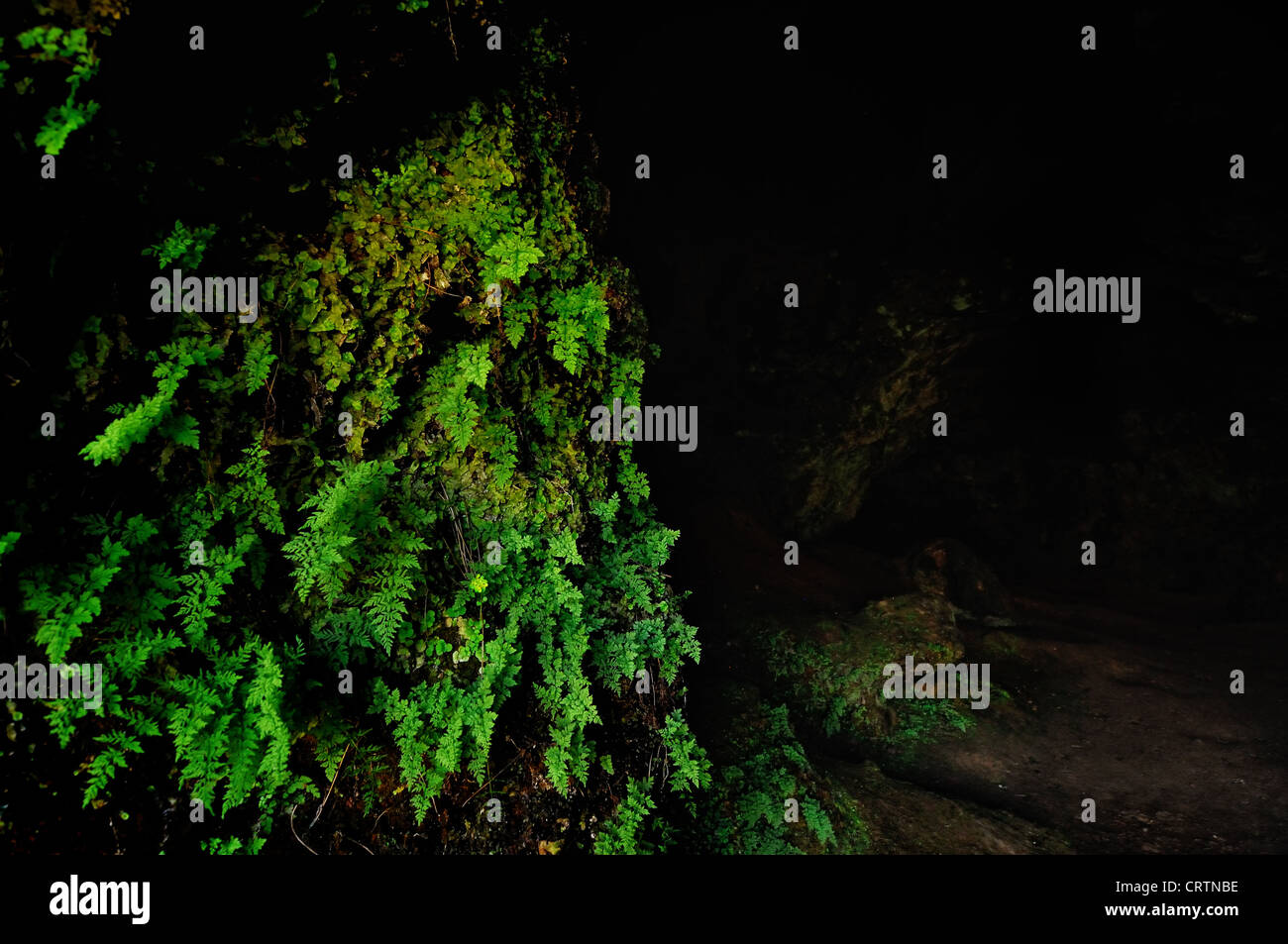 one of a series showing the walk from A837 to Inchnadamph Bone caves in ...