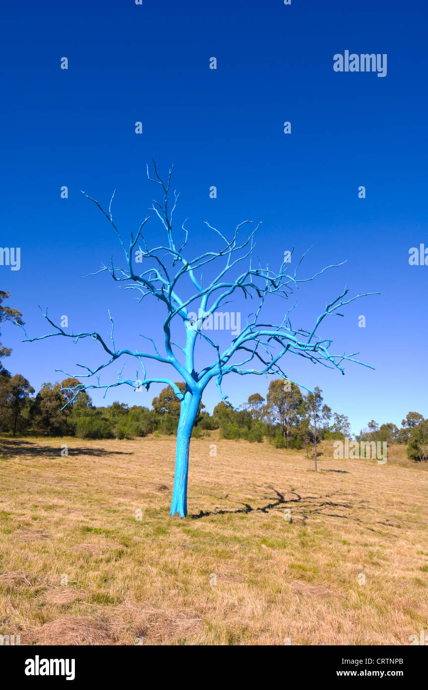 Dead Tree Painted Blue, Australian Botanic Garden, Mount Annan, near ...
