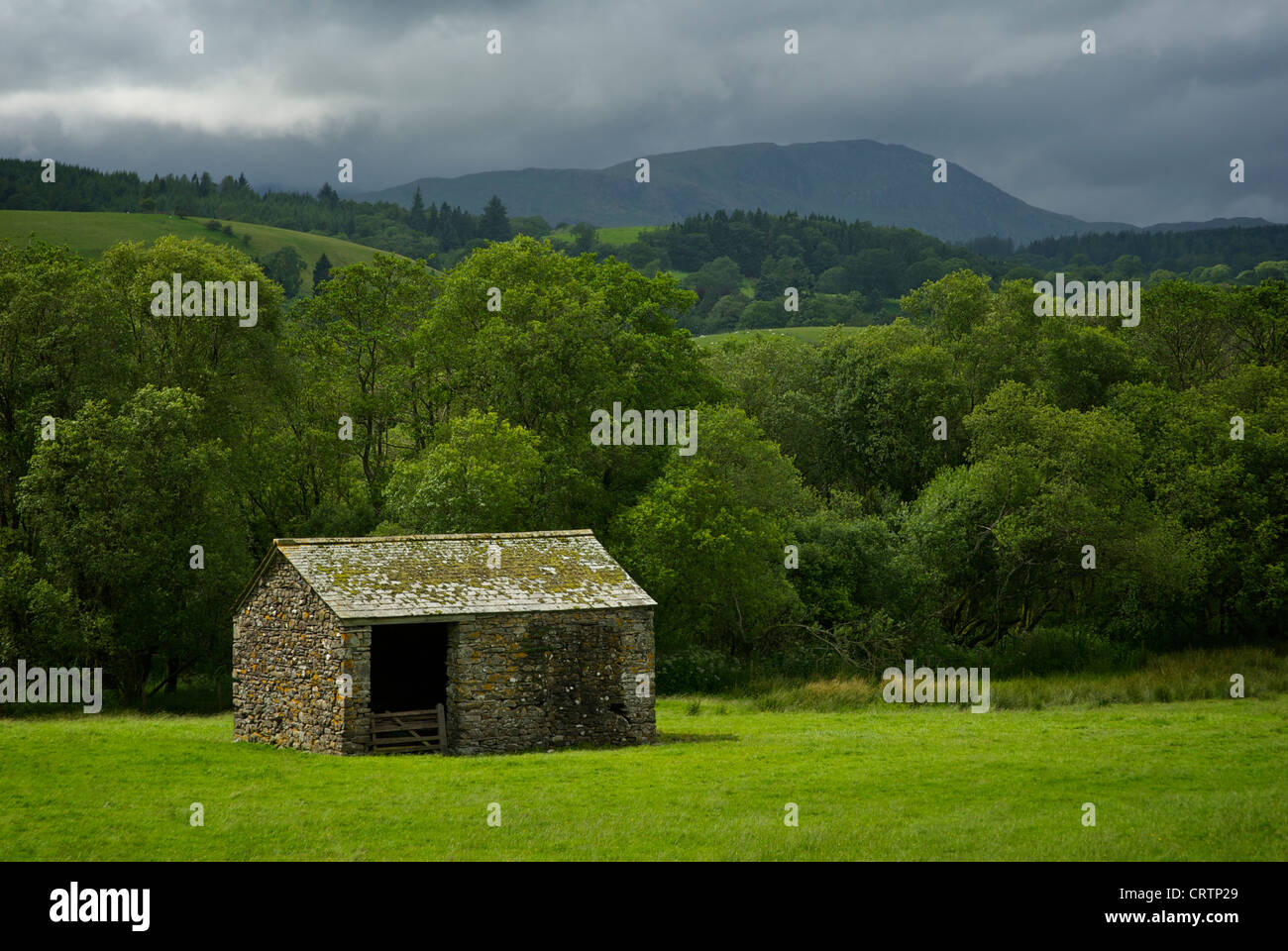 Field barn near Hawkshead, Lake District National Park, Cumbria ...