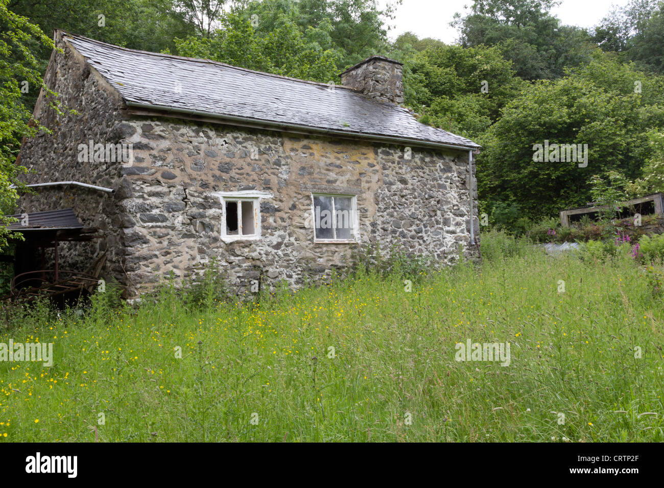 An abandoned cottage in the heart of rural Wales, alongside the Ann ...