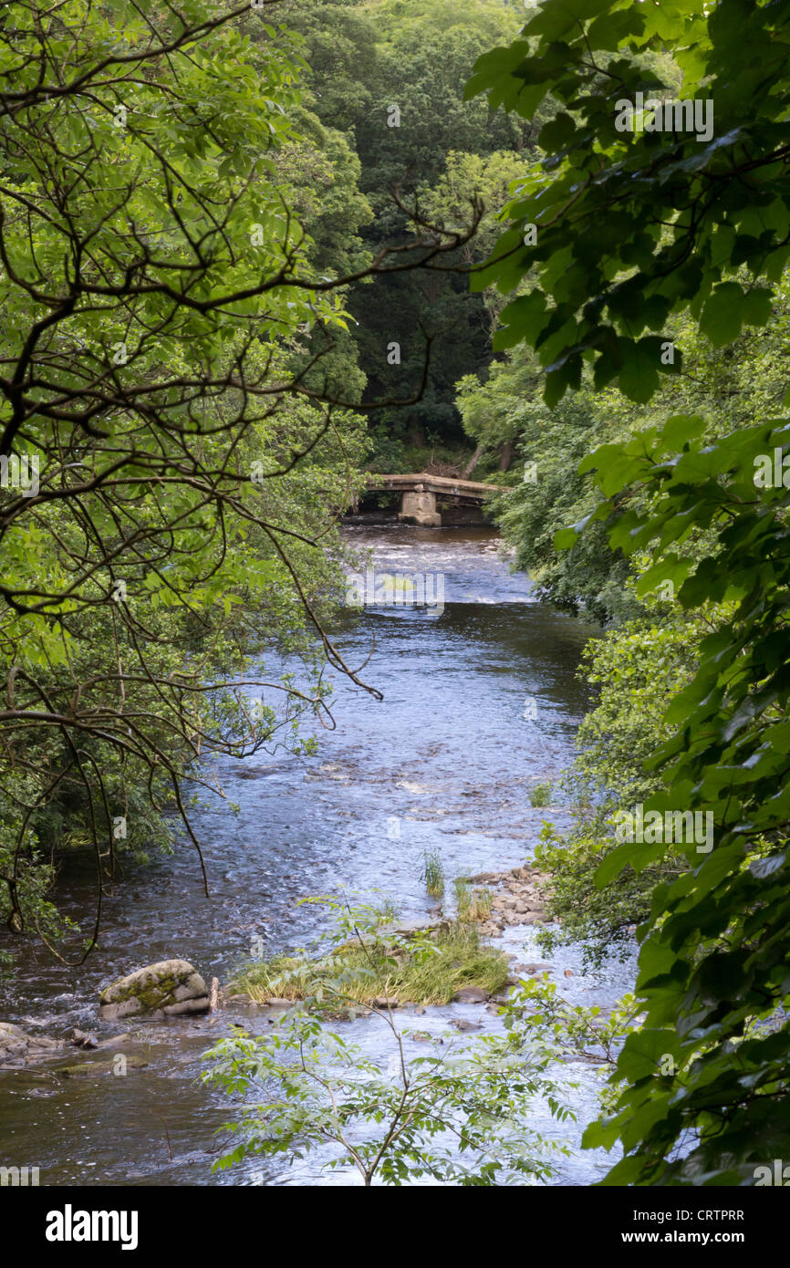 Footbridge on the Vyrnwy river near Dolanog in Powys Stock Photo - Alamy