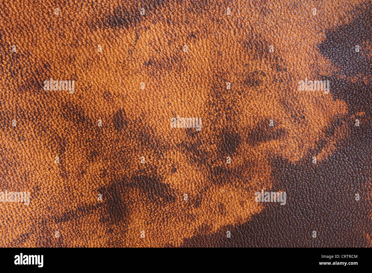 Calf leather texture hi-res stock photography and images - Alamy