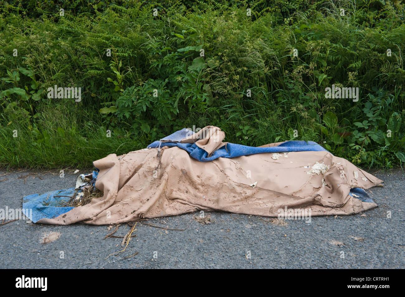 Fly tipping old household carpet dumped in roadside layby in ...