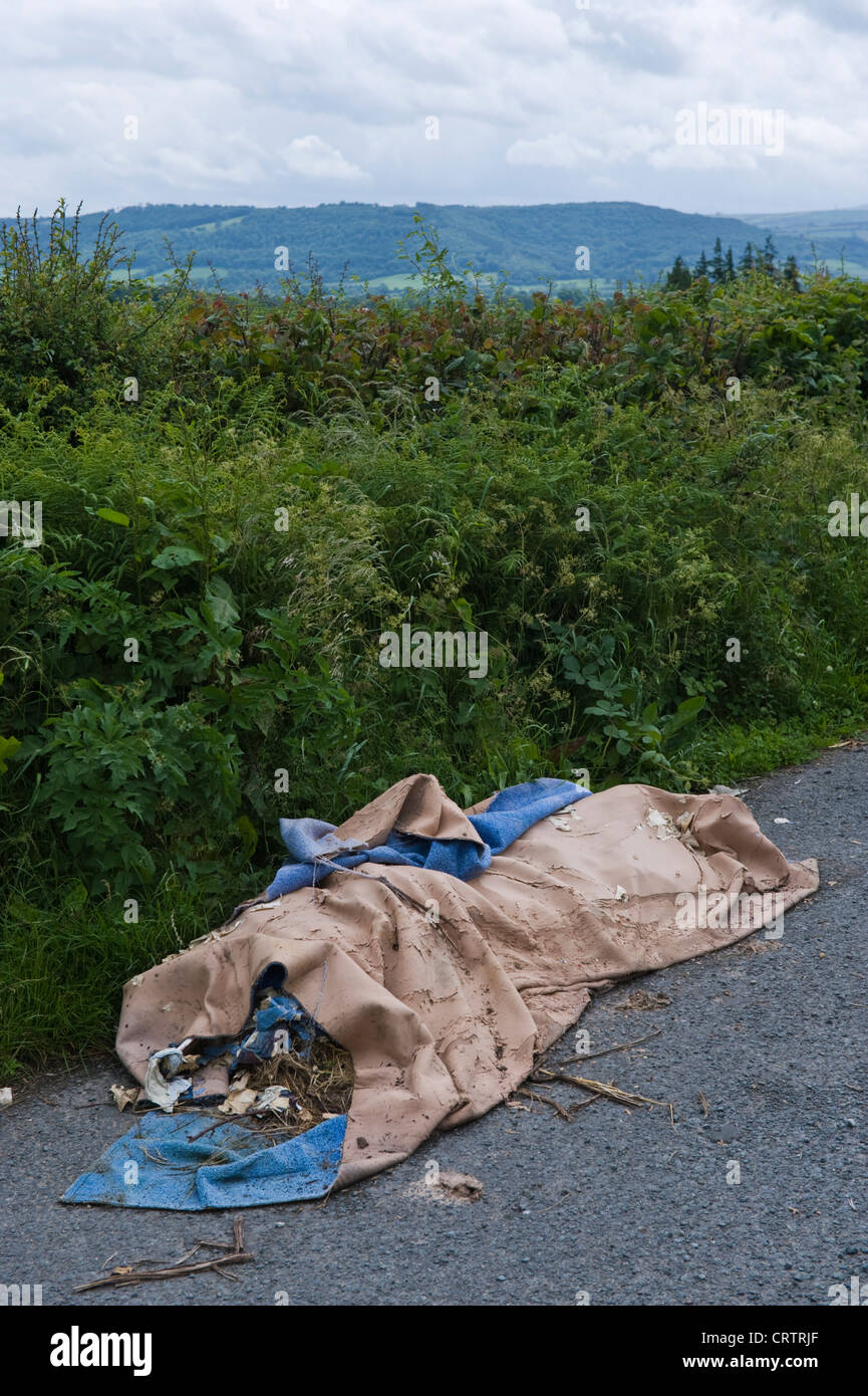 Fly tipping old household carpet dumped in roadside layby in ...