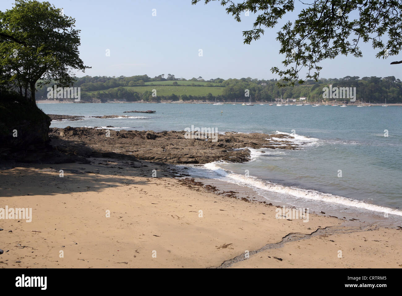 Beach on the Helford Estuary Cornwall England Stock Photo - Alamy
