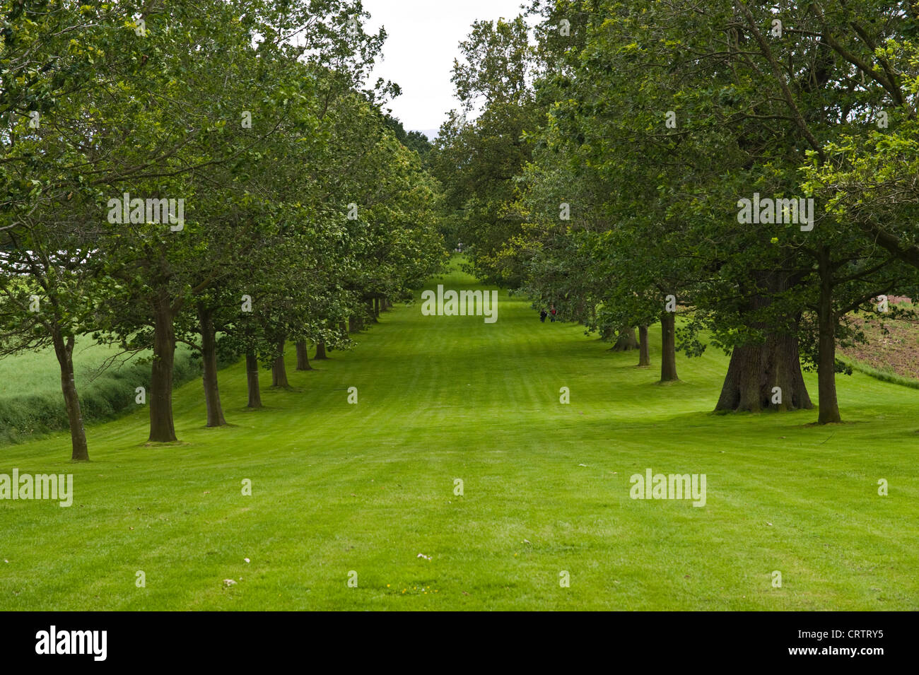 Shobdon arches hi-res stock photography and images - Alamy